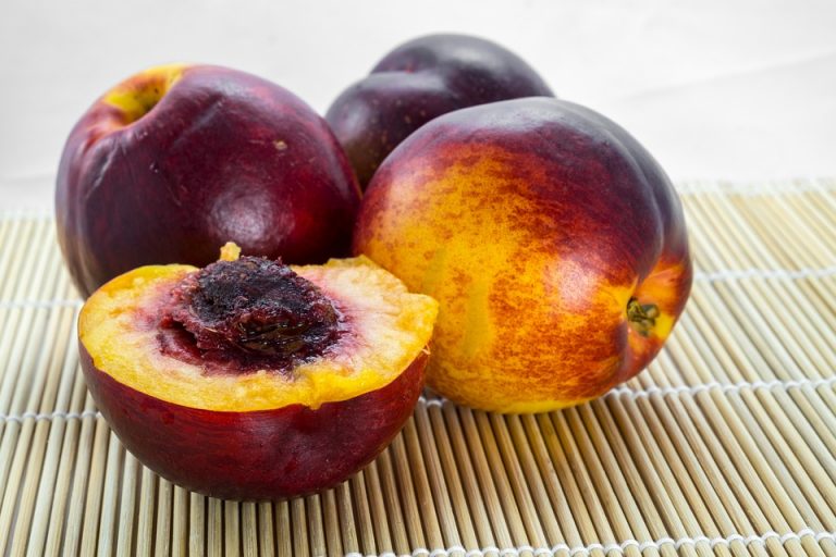 What is the Difference Between Fleshy and Dry Fruits - Pediaa.Com