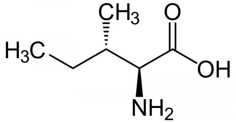 What is the Difference Between Leucine and Isoleucine - Pediaa.Com