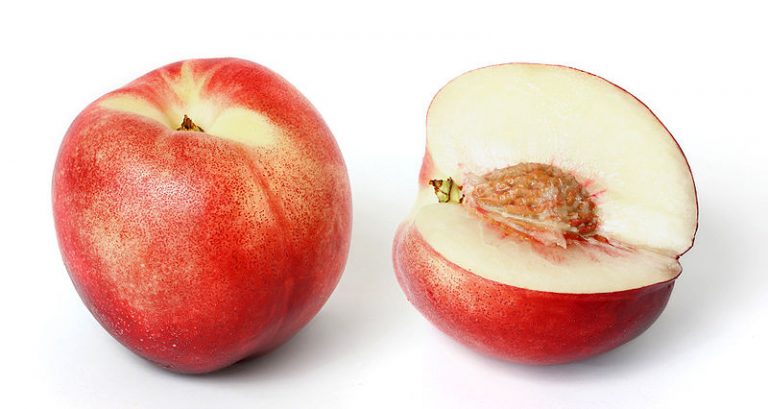 What is the Difference Between True Fruit and False Fruit - Pediaa.Com