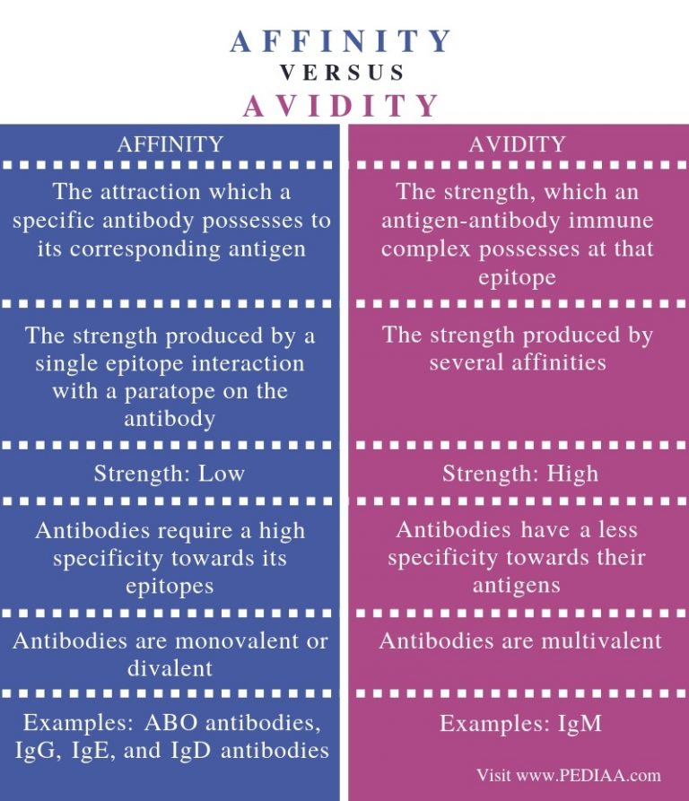 What is the Difference Between Affinity and Avidity - Pediaa.Com