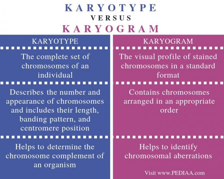 What is the Difference Between Karyotype and Karyogram - Pediaa.Com