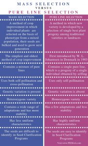 What is the Difference Between Mass Selection and Pure Line Selection ...