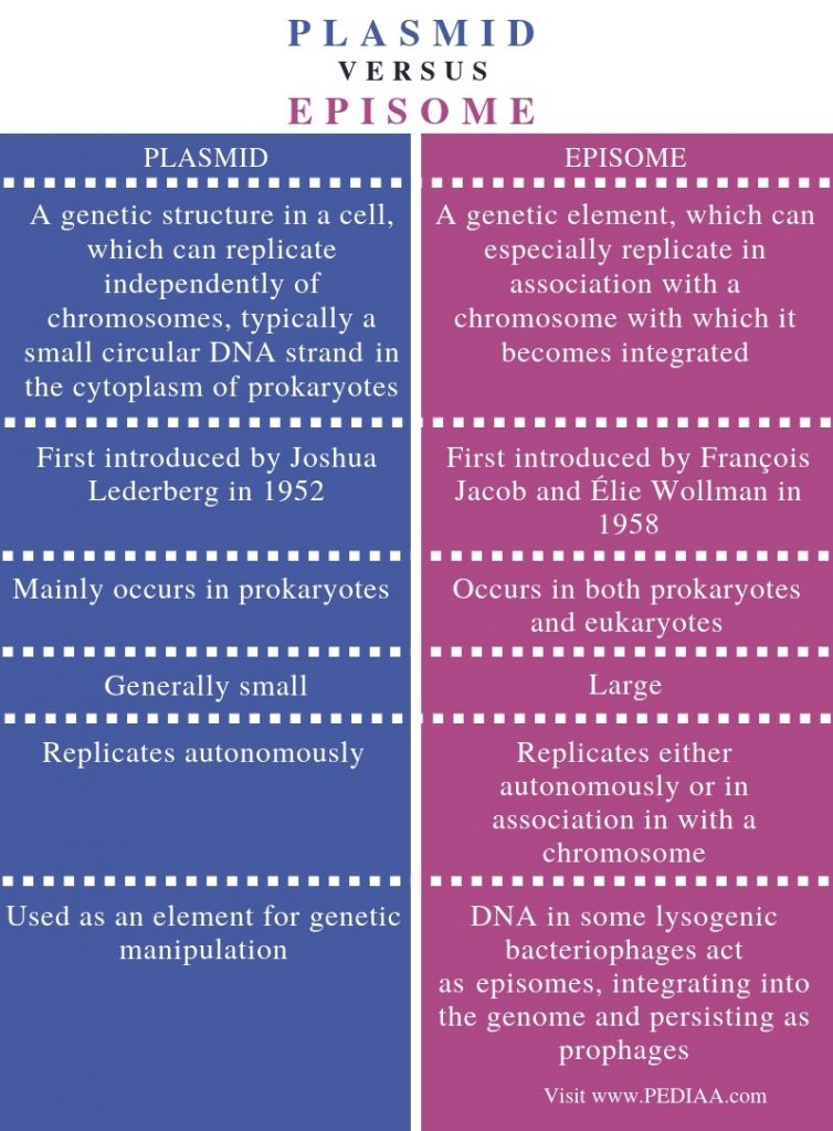 What is the Difference Between Plasmid and Episome - Pediaa.Com