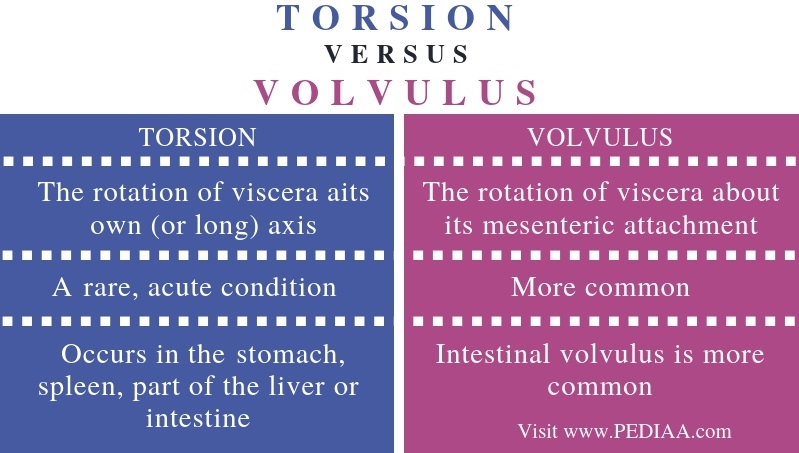 Volvulus Definition Causes Volvulus Types Diagnosis