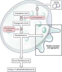 What is the Difference Between Anticoagulant and Antiplatelet - Pediaa.Com
