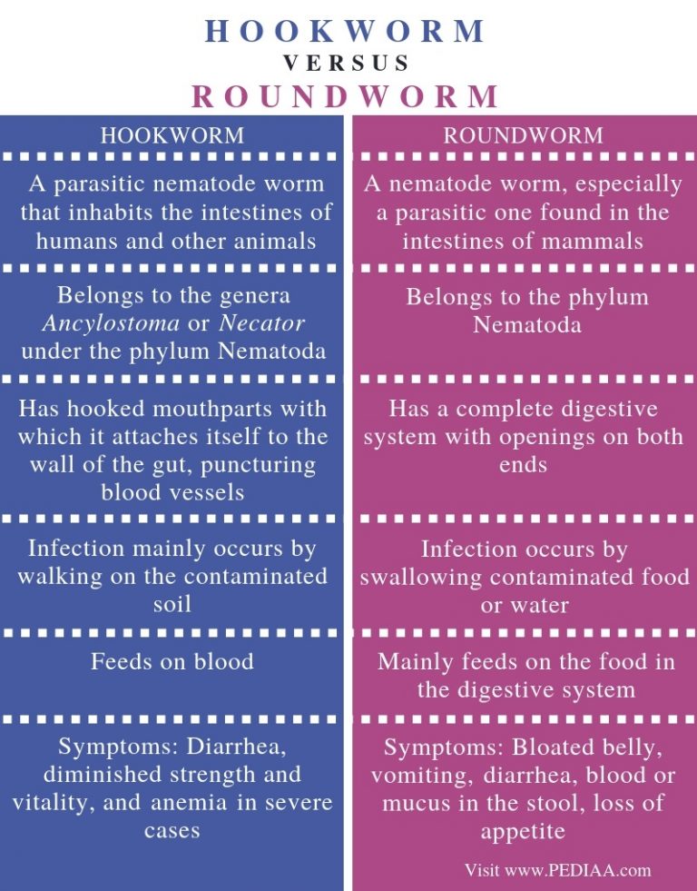 What is the Difference Between Hookworm and Roundworm - Pediaa.Com