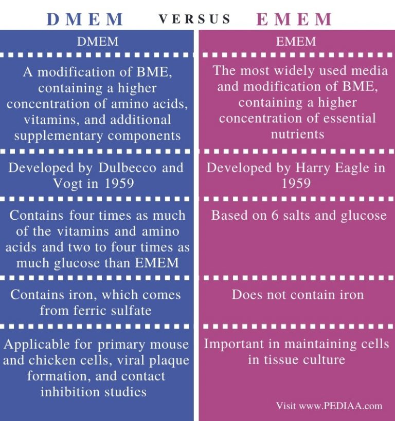 What is the Difference Between DMEM and EMEM - Pediaa.Com