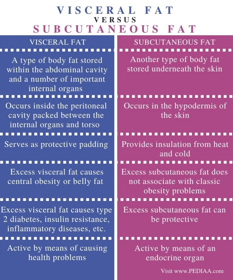 What is the Difference Between Visceral and Subcutaneous Fat - Pediaa.Com