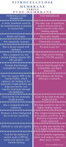What is the Difference Between Nitrocellulose and PVDF Membrane ...