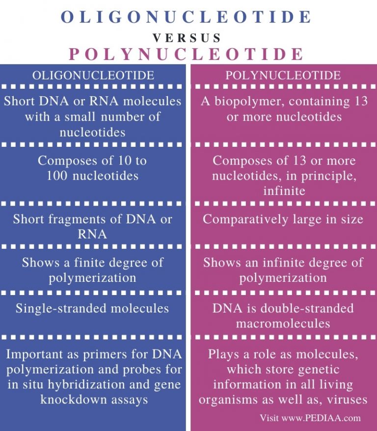 What is the Difference Between Oligonucleotide and Polynucleotide ...