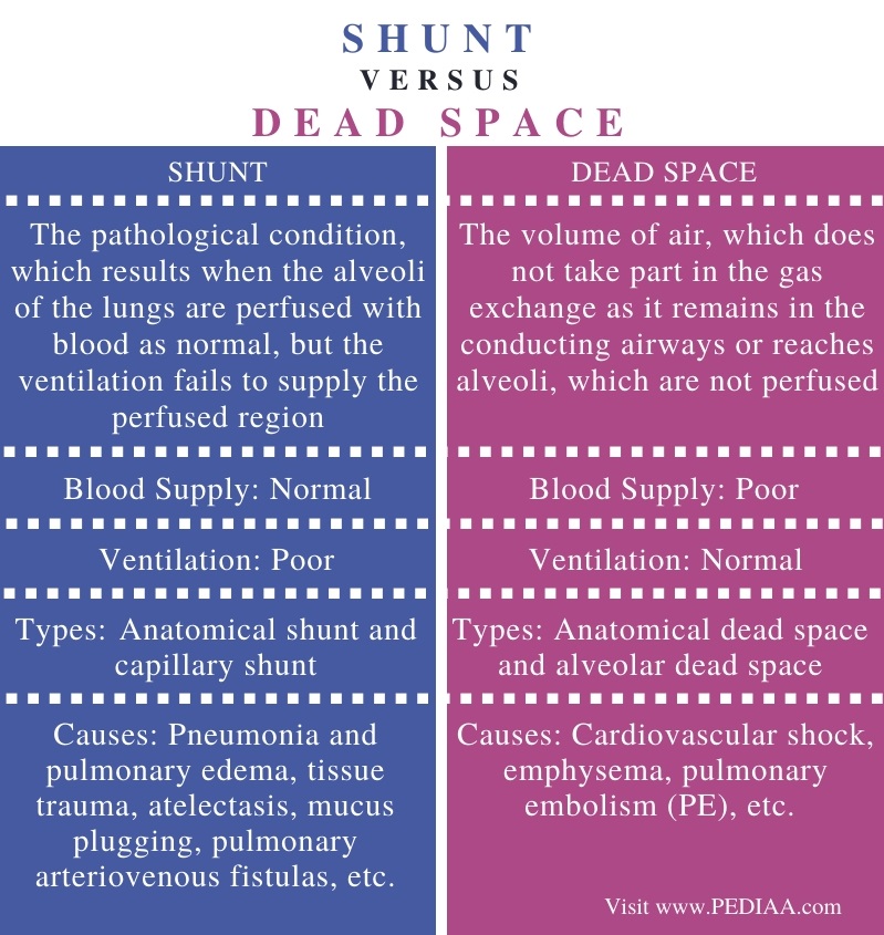 What Is The Difference Between Shunt And Dead Space Pediaa Com