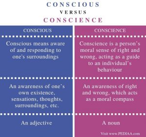 Difference Between Conscious and Conscience - Pediaa.Com