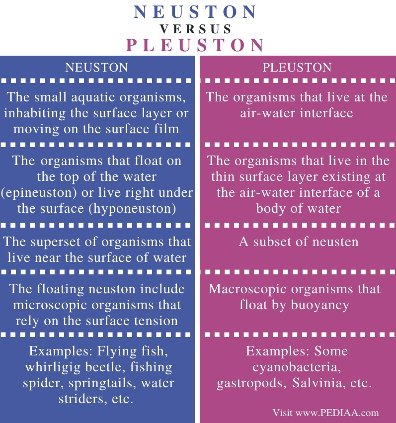 What is the Difference Between Neuston and Pleuston - Pediaa.Com