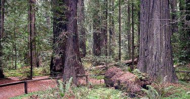 Pediaa.Com - Page 148 of 680 - Know about Anything