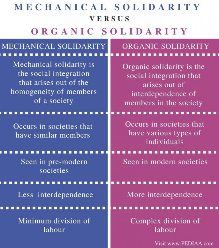 What is the Difference Between Mechanical and Organic Solidarity ...