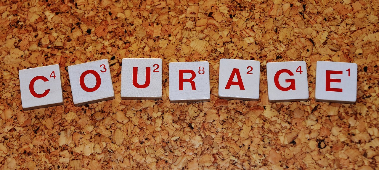 What is the Difference Between Courage and Stupidity - Pediaa.Com