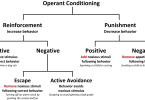 What is the Difference Between Escape Conditioning and Avoidance ...