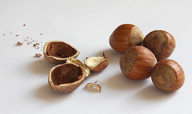 What is the Difference Between Hazelnut and Walnut - Pediaa.Com