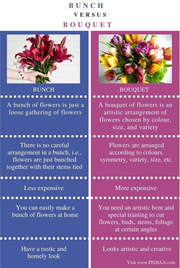 What is the Difference Between Bunch and Bouquet - Pediaa.Com