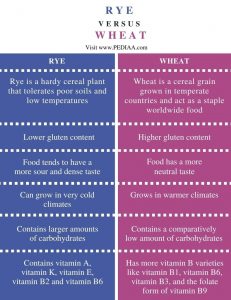 What is the Difference Between Rye and Wheat - Pediaa.Com