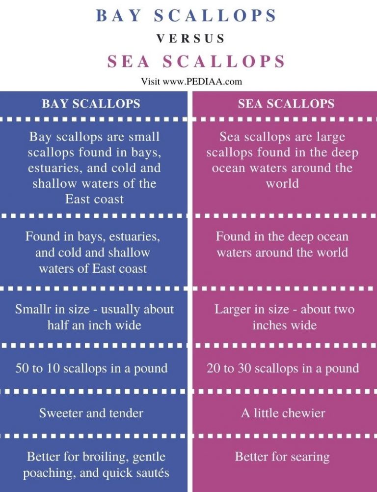 What is the Difference Between Bay Scallops and Sea Scallops - Pediaa.Com