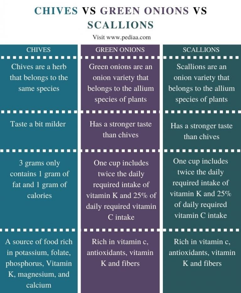 What is the Difference Between Chives Green Onions and Scallions ...