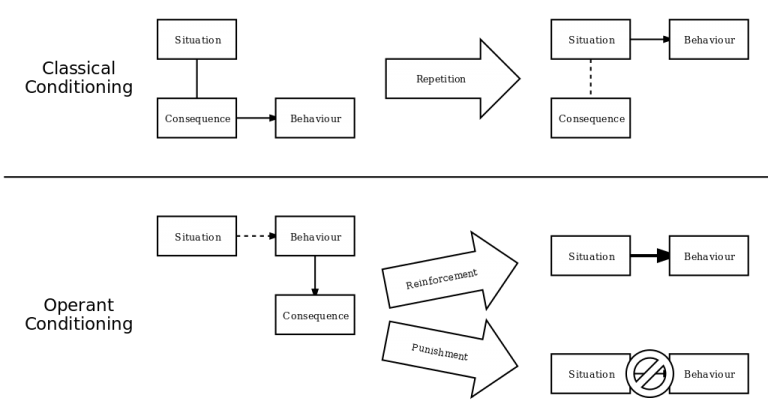 What Is The Difference Between Associative And Non Associative Learning