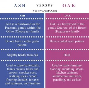 What is the Difference Between Ash and Oak - Pediaa.Com