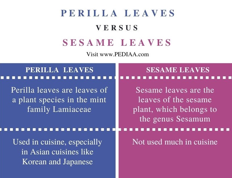 What is the Difference Between Perilla and Sesame Leaves - Pediaa.Com
