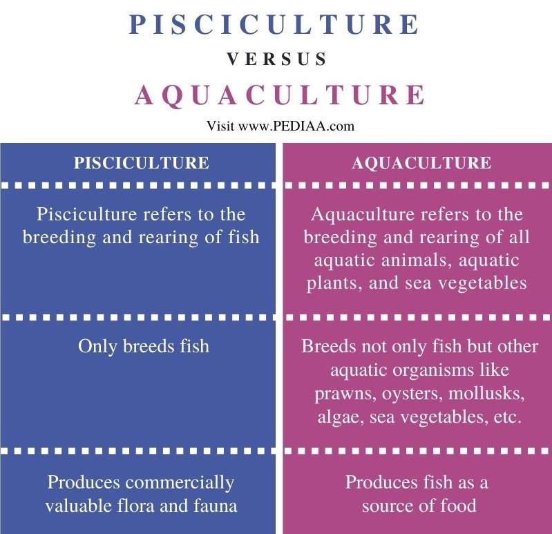 What is the Difference Between Pisciculture and Aquaculture - Pediaa.Com