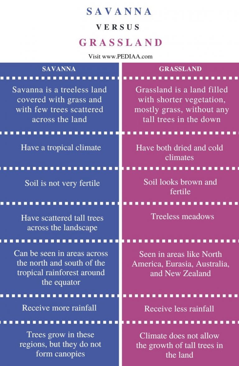 What is the Difference Between Savanna and Grassland - Pediaa.Com