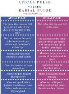 What is the Difference Between Apical and Radial Pulse - Pediaa.Com