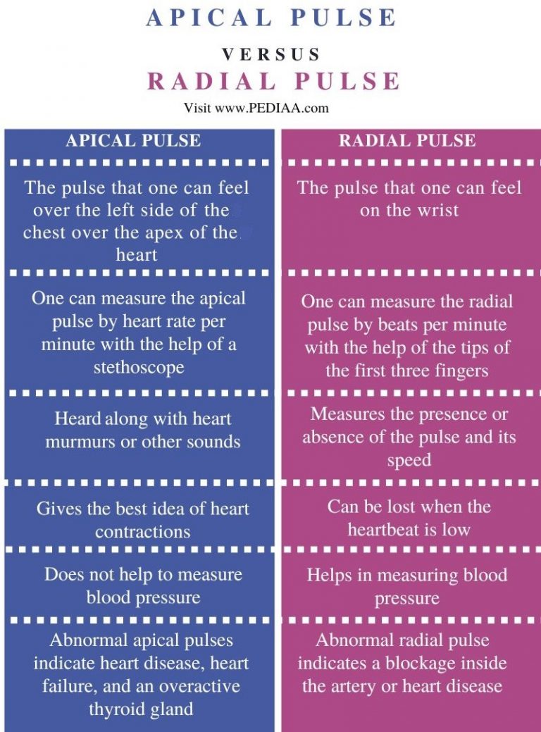 What is the Difference Between Apical and Radial Pulse - Pediaa.Com