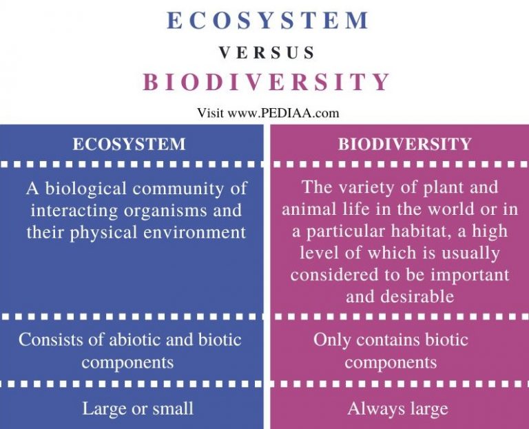 What is the Difference Between Ecosystem and Biodiversity - Pediaa.Com