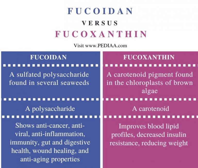 What is the Difference Between Fucoidan and Fucoxanthin – Pediaa.Com