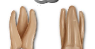 Pediaa.Com - Page 34 of 684 - Know about Anything