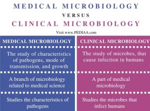 What is the Difference Between Medical Microbiology and Clinical ...