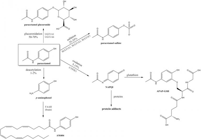 What is the Difference Between Panadol and Paracetamol - Pediaa.Com
