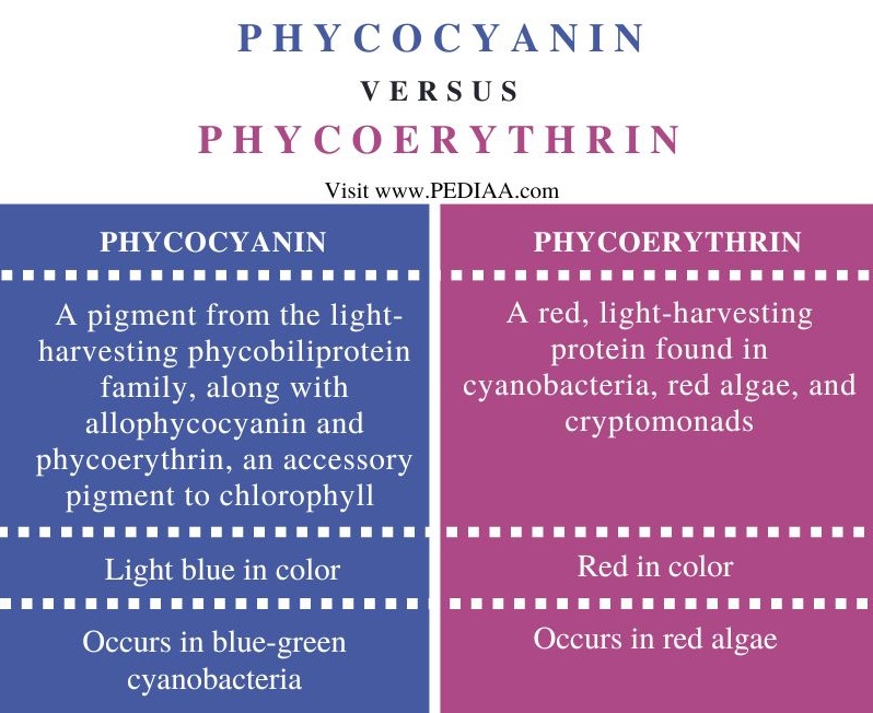 What is the Difference Between Phycocyanin and Phycoerythrin - Pediaa.Com