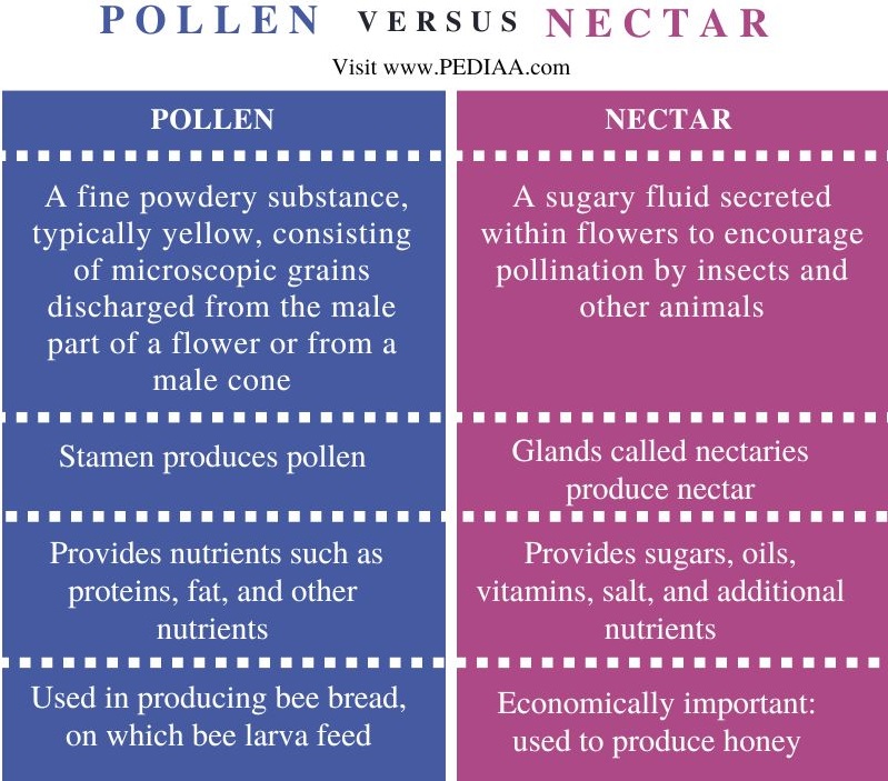 What is the Difference Between Pollen and Nectar - Pediaa.Com