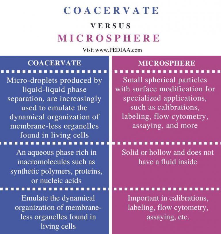 What is the Difference Between Coacervate and Microsphere - Pediaa.Com