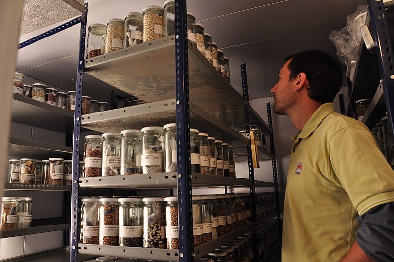 What is the Difference Between Germplasm and Somatoplasm - Pediaa.Com