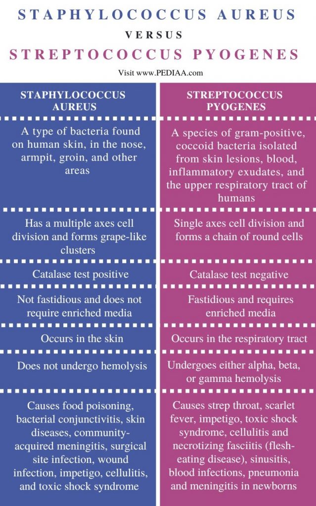 What is the Difference Between Staphylococcus Aureus and Streptococcus ...