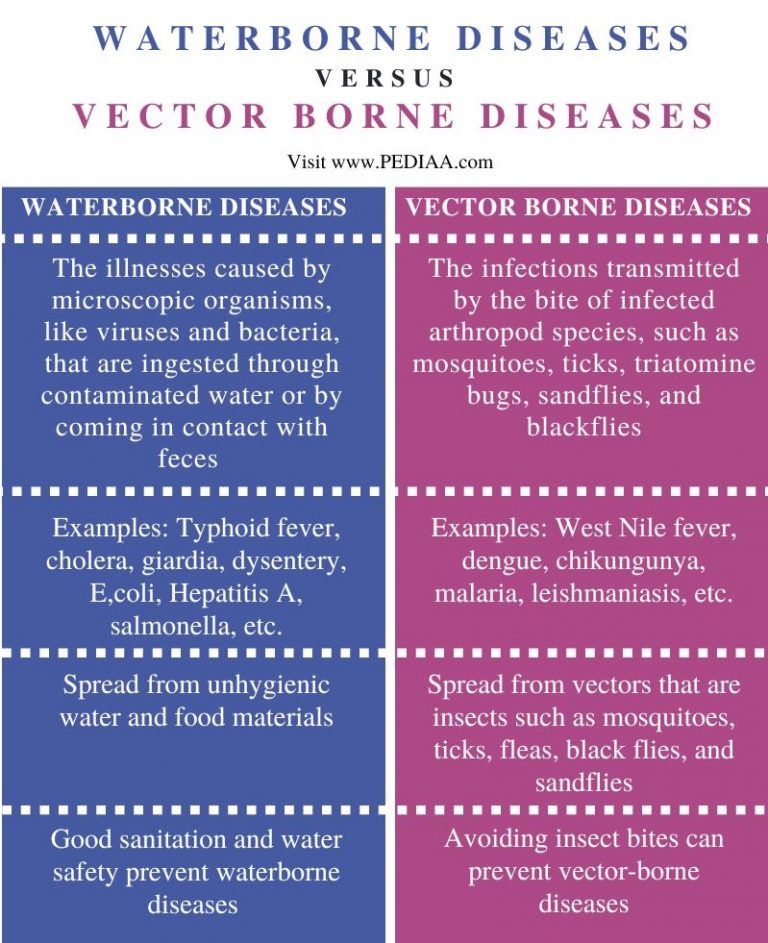 What is the Difference Between Waterborne and Vector Borne Diseases ...