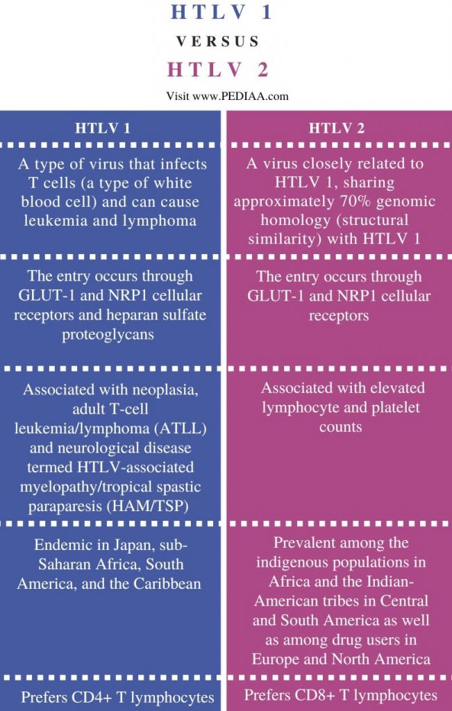 What is the Difference Between HTLV 1 and 2 - Pediaa.Com