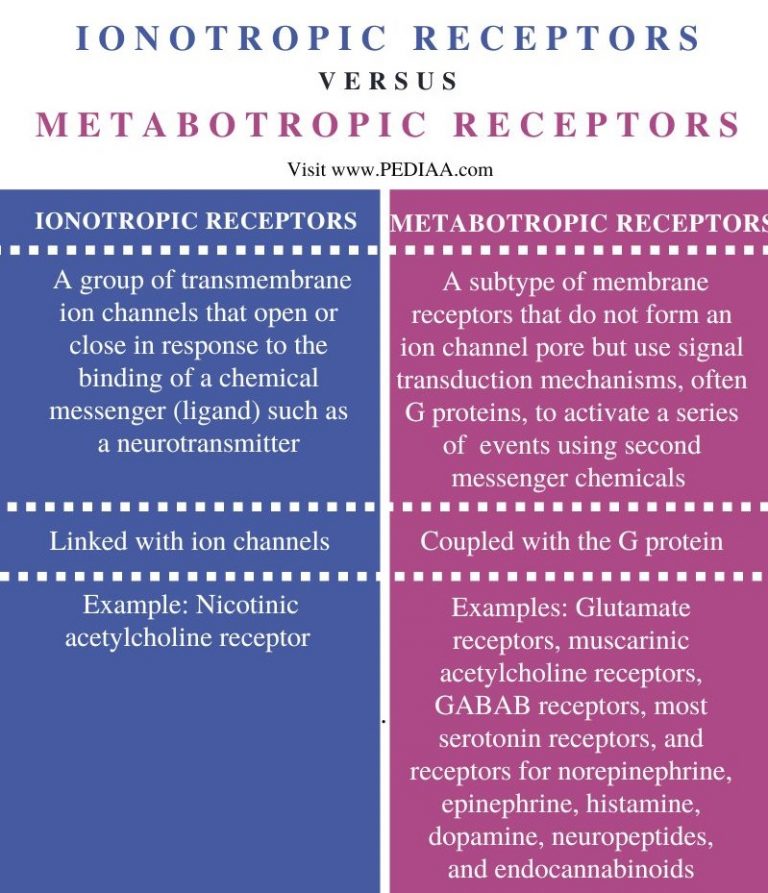 What is the Difference Between Ionotropic and Metabotropic Receptors - Pediaa.Com