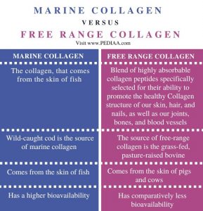 What is the Difference Between Marine Collagen and Free Range Collagen ...