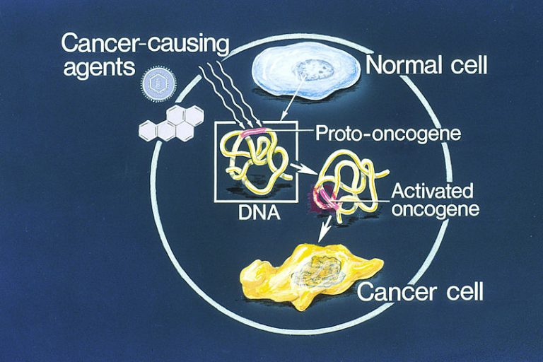 What is the Difference Between Oncogene and Proto-Oncogene - Pediaa.Com What is the Difference Between Oncogene and Proto-Oncogene - Pediaa.Com
