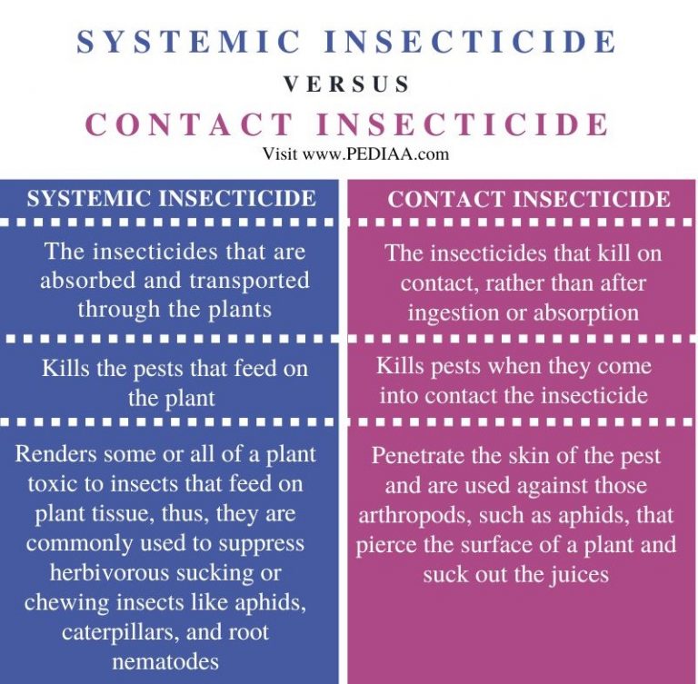 What is the Difference Between Systemic and Contact Insecticide ...
