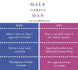 What is the Difference Between Male and Man – Pediaa.Com
